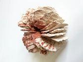 TREEHEART natural ceramic forest wallsculptures – ROOTFOLK
