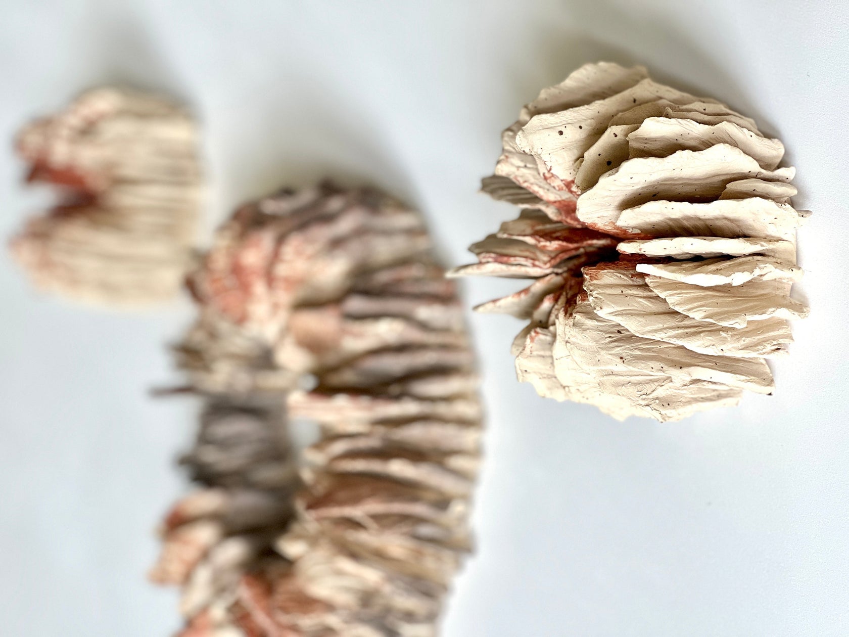 TREEHEART natural ceramic forest wallsculptures – ROOTFOLK