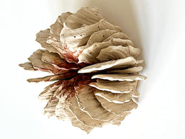 TREEHEART natural ceramic forest wallsculptures – ROOTFOLK